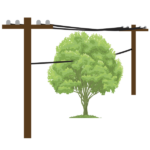 Tree Trimming Near Power Lines - Snohomish County PUD