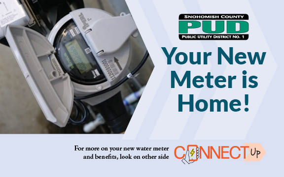 Connect Up Communications - Snohomish County PUD