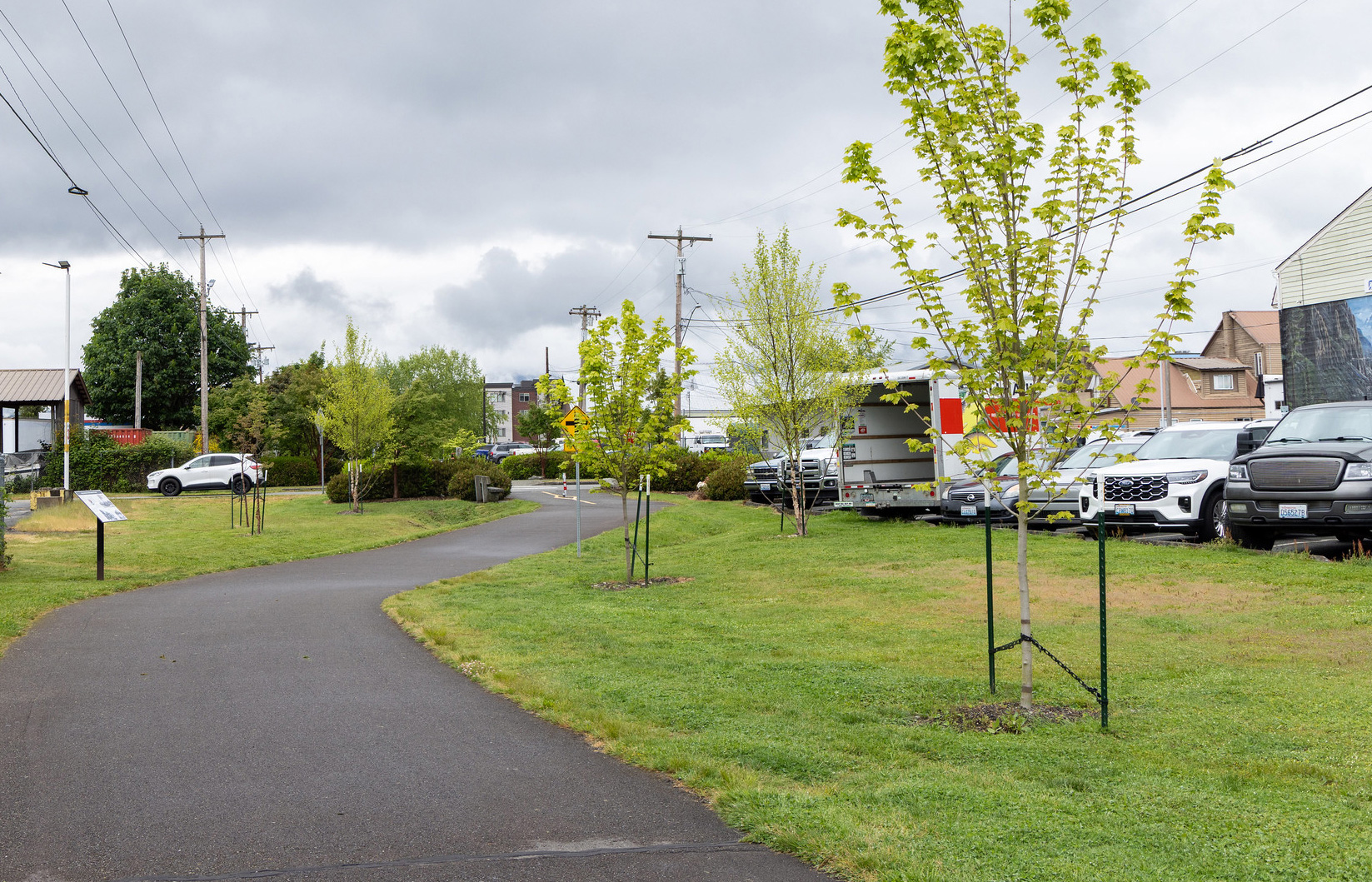 Help the PUD Plant More Trees! - Snohomish County PUD